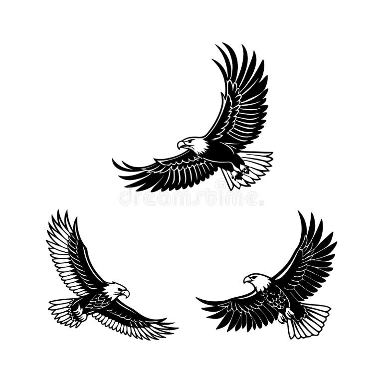 Vector Illustration of an Eagle Soaring Gracefully in the Sky Stock ...