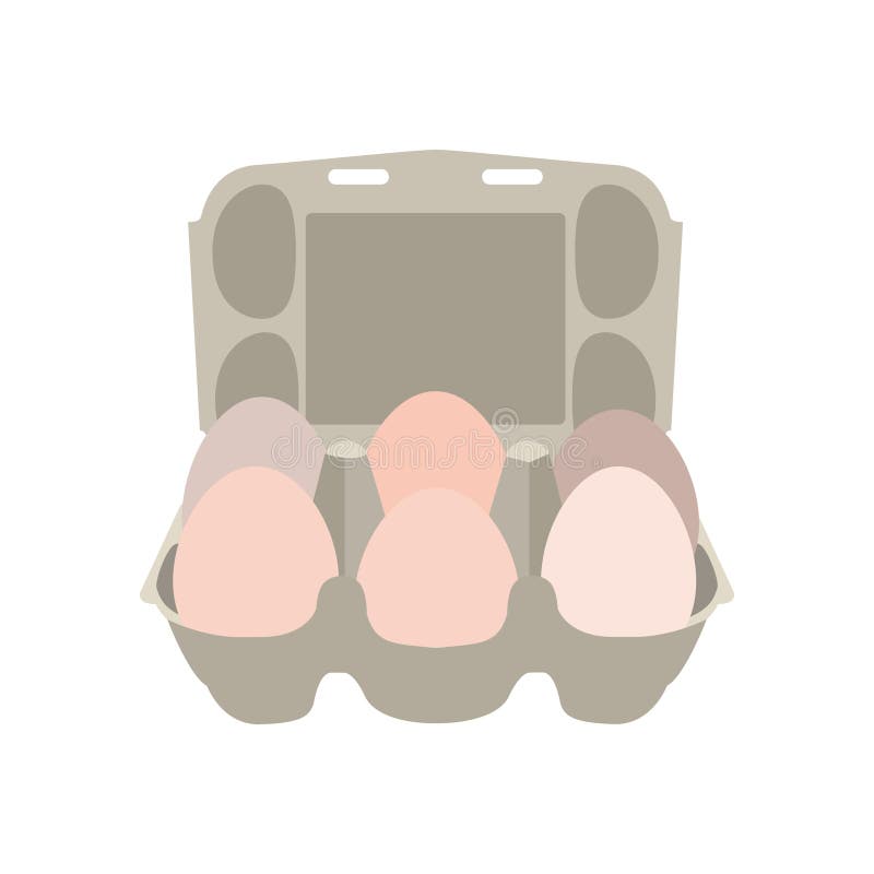 Vector Illustration Egg Box with White Fresh Chicken Eggs. Stock ...