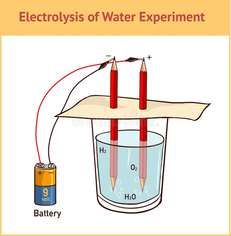 Electrolysis of Water Forming Hydrogen and Oxygen Stock Vector ...