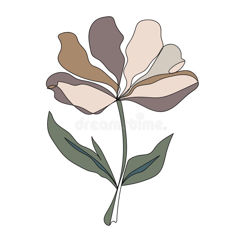 Vector Illustration of Elegant Flower Stock Vector - Illustration of ...