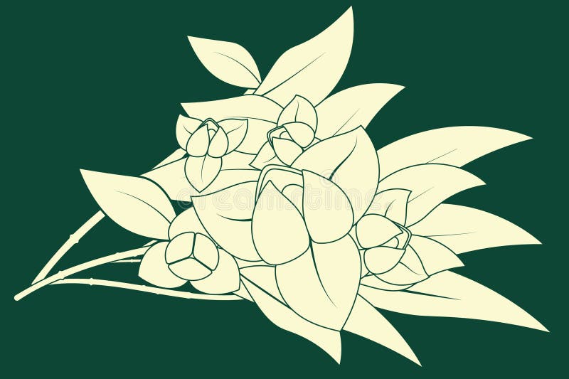 Romdol Flower Stock Illustrations – 1 Romdol Flower Stock Illustrations ...