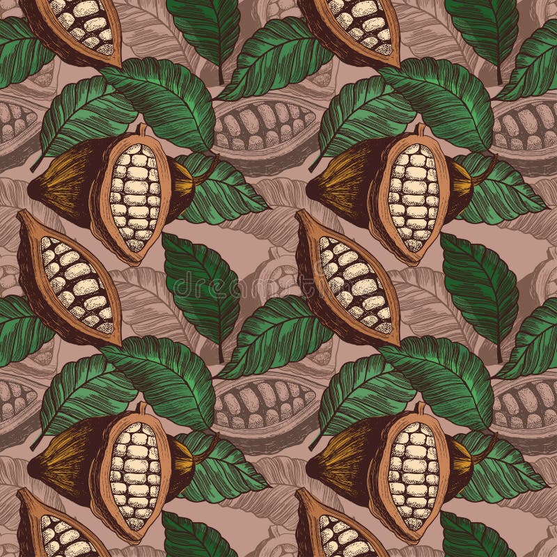 Cocoa Beans Seamless Pattern in Vintage Style. Vector Engraved ...