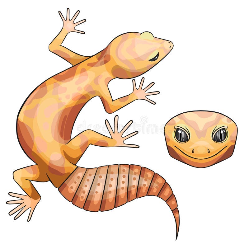Tremper Albino Stock Illustrations – 2 Tremper Albino Stock ...