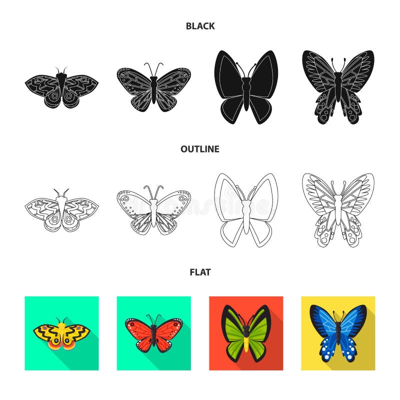 Vector Illustration of Exotic and Botanic Icon. Set of Exotic and ...