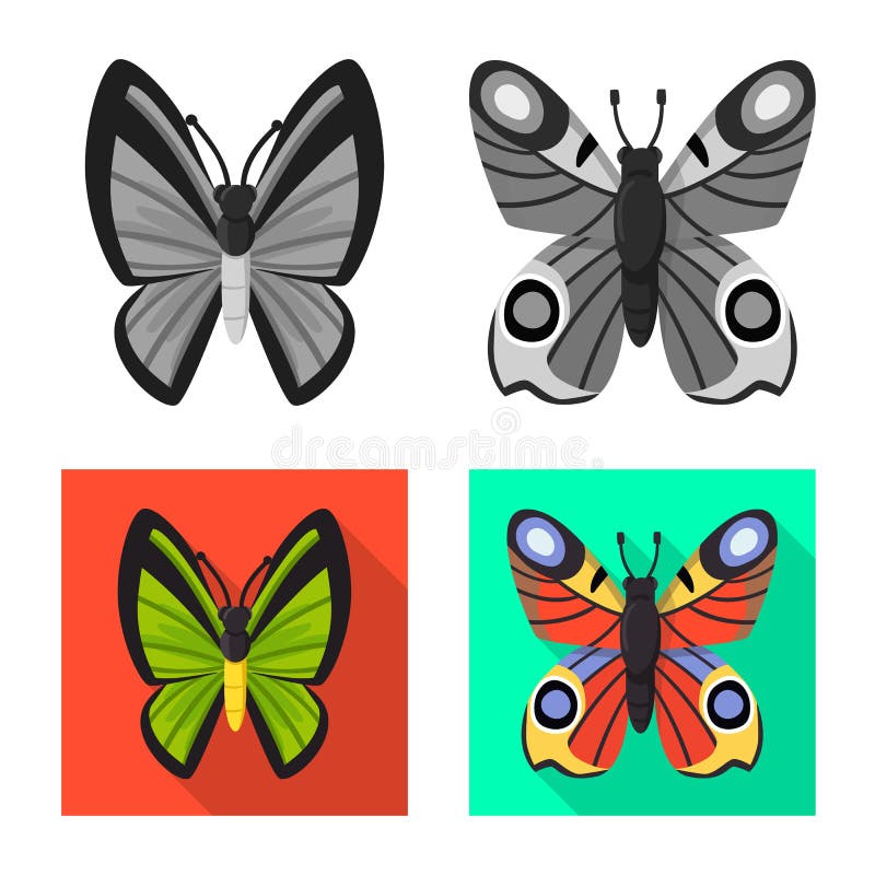 Vector Design of Exotic and Botanic Symbol. Collection of Exotic and ...