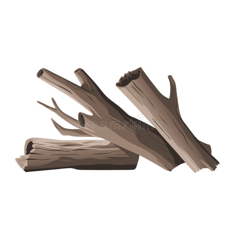 Realistic Brown Tree Branches Vector Illustration for Nature and Craft ...