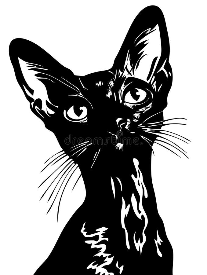 Vector Illustration of Curious Cat Silhouette for Tattoos and Designs ...