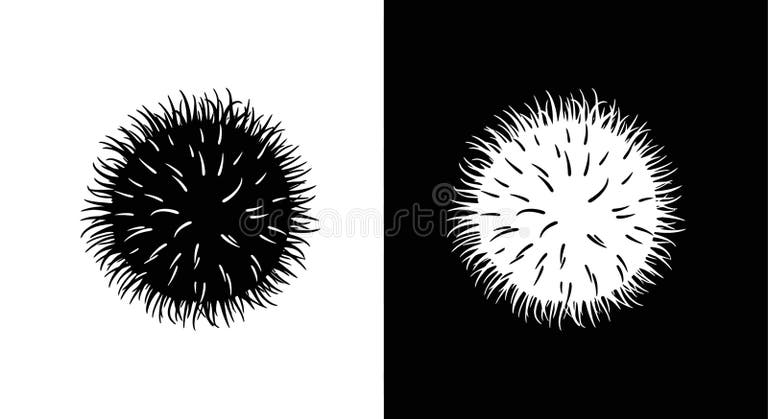 Abstract Spiky Sphere Icons - Black and White Contrast Stock Vector ...