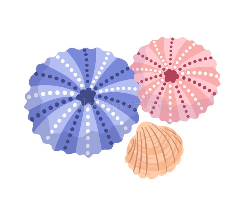 A Vector Illustration Featuring a Vibrant Sea Urchins and a Delicate ...