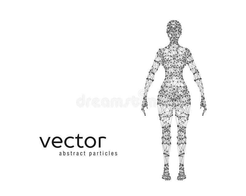 Abstract Mesh Line Anatomy Female Stock Illustrations – 30 Abstract ...