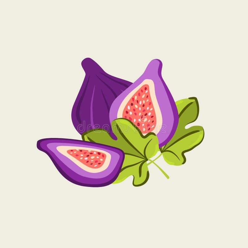 Figs Lilac Stock Illustrations – 53 Figs Lilac Stock Illustrations ...