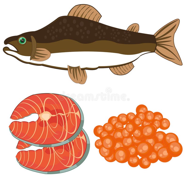 Vector Illustration of Fish of the Sort Salmon and Meat with Roe Stock ...