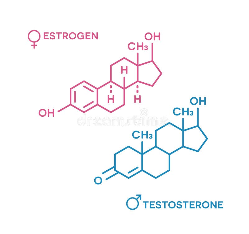 Steroid Hormones Action Stock Vector Illustration Of Medicine 26879893