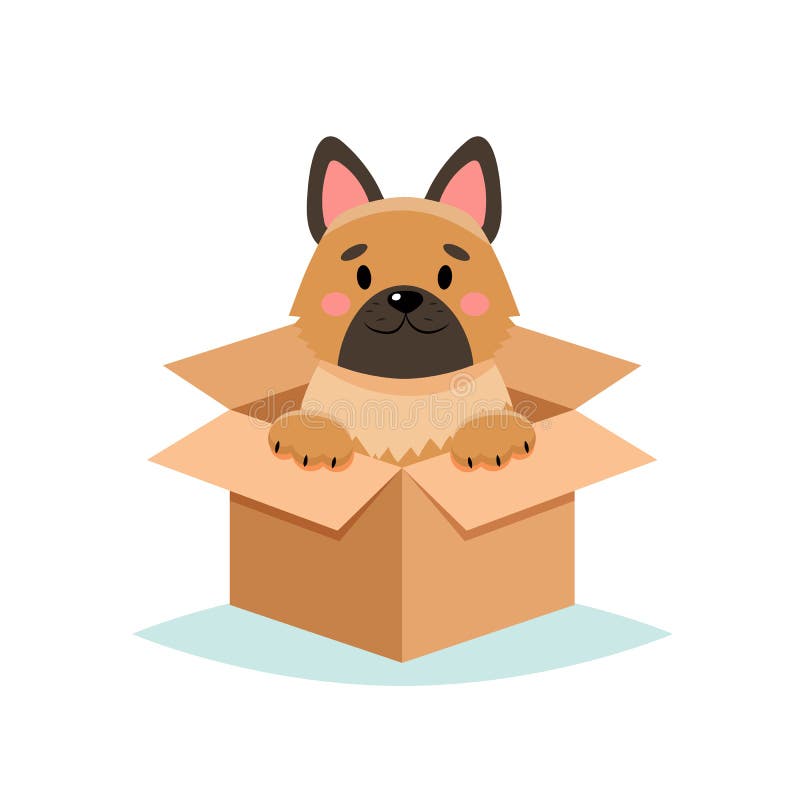 Adopt a Pet - Cute Dog in a Box, Isolated on White Background Stock ...