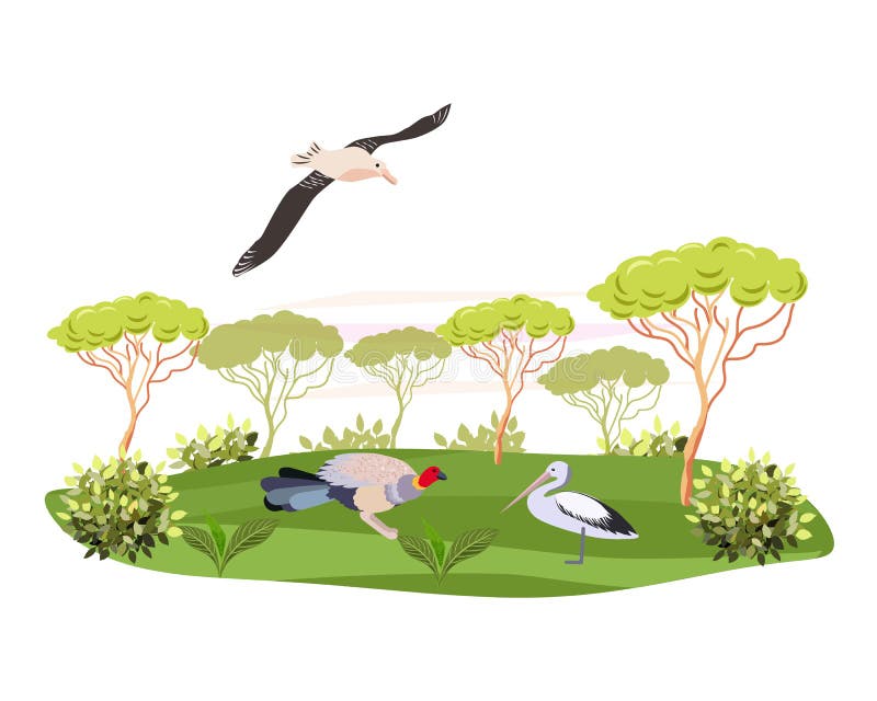 Australian Native Grass Tree Stock Illustrations – 78 Australian Native ...