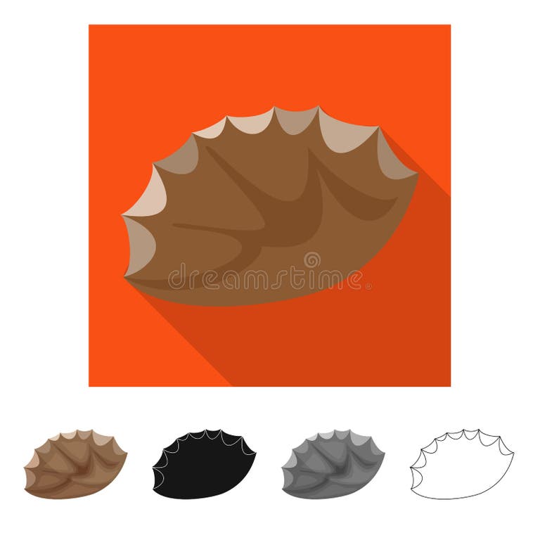 Vector Design of Flint and Sharp Sign. Set of Flint and Evolution ...