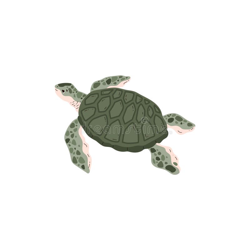 Vector Side View Turtle Stock Illustrations – 182 Vector Side View ...
