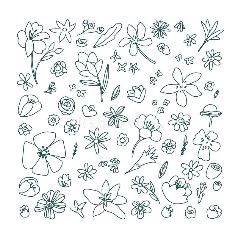 Vector Illustration of Flower Buds. Line Art Set Stock Illustration ...