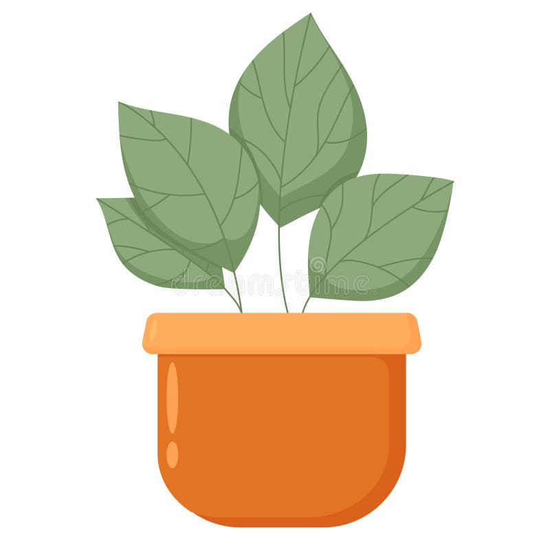 Houseplant Flat Vector Illustration Stock Vector Illustration Of