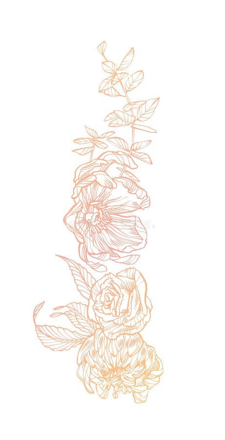 Floral Illustration. Vecor Artwork of Flowers. Isolated Artwork Stock ...