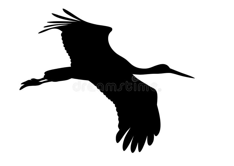 Stork stock vector. Illustration of bird, flying, animal - 161463472