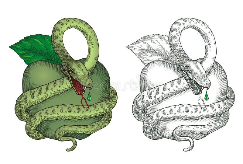 Apple and Snake Vector #1034 Stock Vector - Illustration of ornate ...