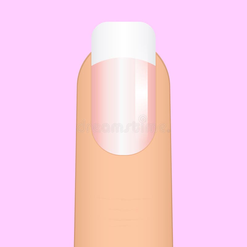 French manicure stock vector. Illustration of cosmetic - 29797032
