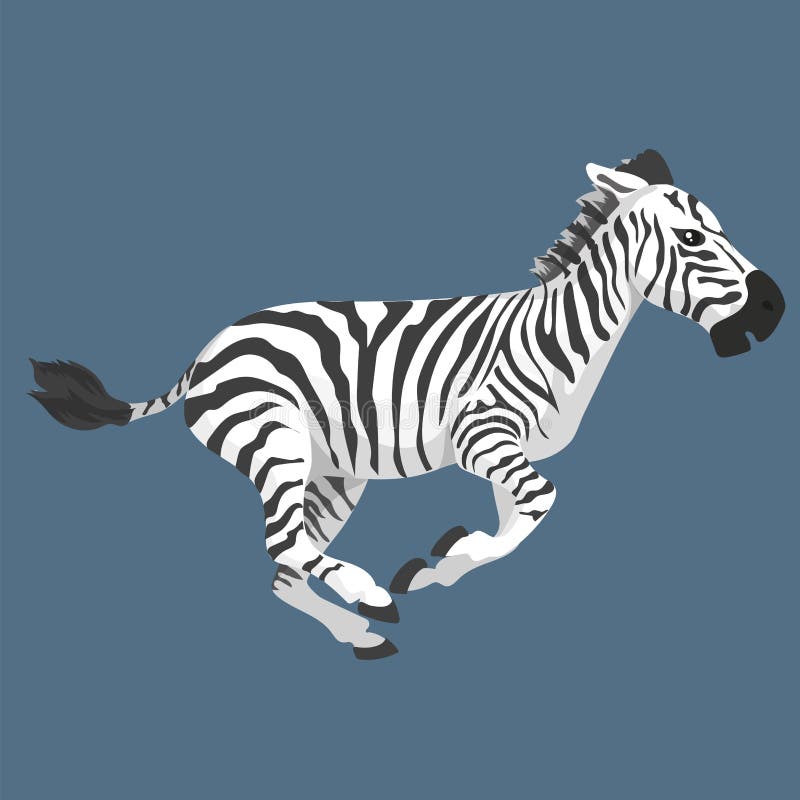 Vector Illustration of Fright Zebra Run Isolated Stock Vector ...