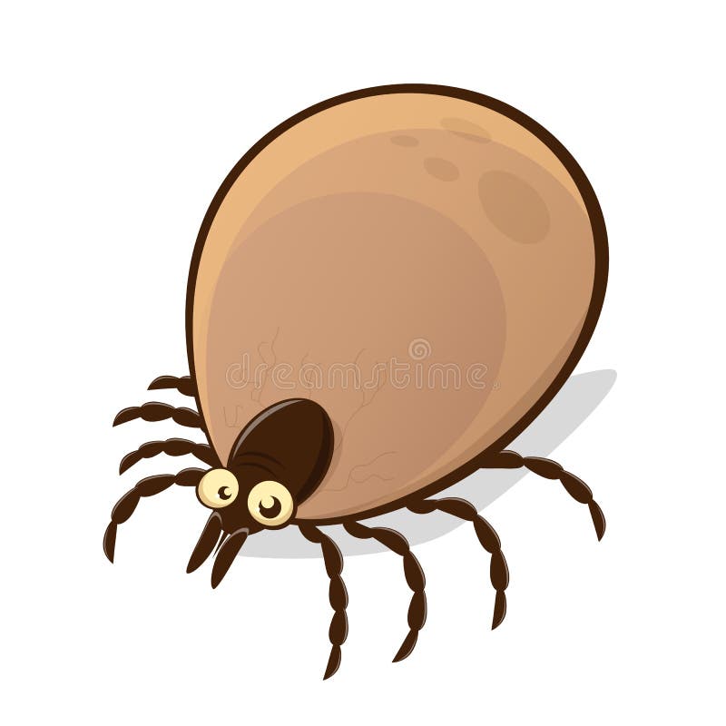 Cartoon Tick Stock Illustrations – 8,932 Cartoon Tick Stock ...