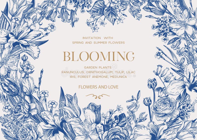 Vector Illustration with Garden Flowers. Floral Frame Stock Vector ...