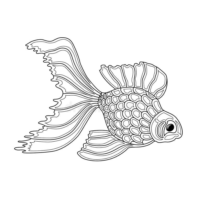 Vector Illustration of Gold Fish. Line Art Stock Vector - Illustration ...