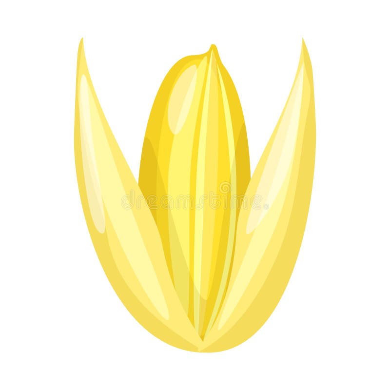 Vector Illustration of Grain and Rice Logo. Set of Grain and Seed ...