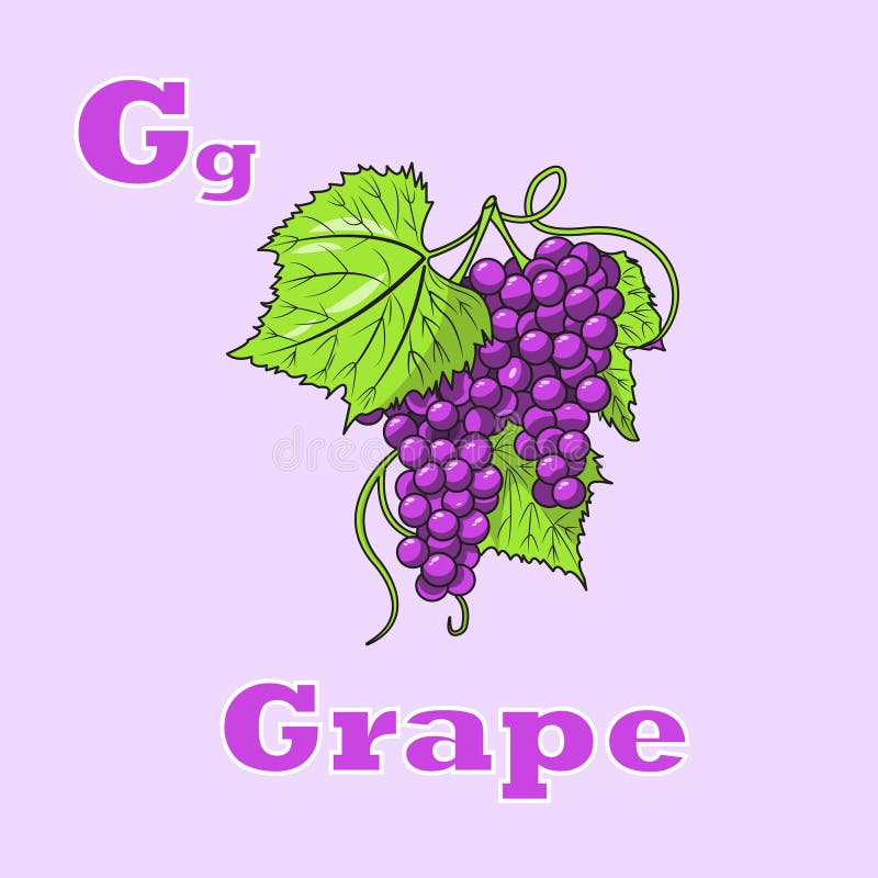 Grapes flashcard alphabet stock vector. Illustration of activities ...