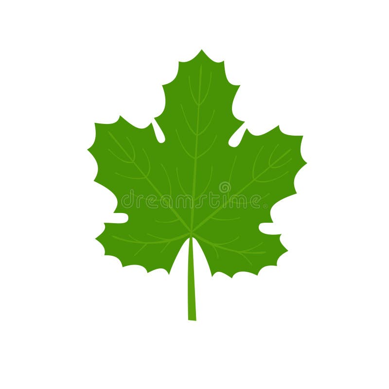 Vector grape leaf stock vector. Illustration of isolated - 156314383