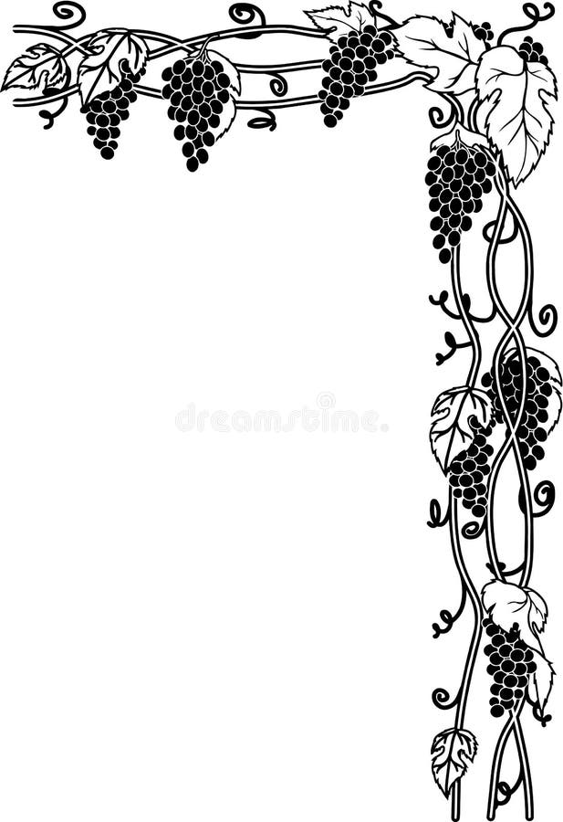 Grape Vines Stock Illustrations – 8,095 Grape Vines Stock Illustrations ...