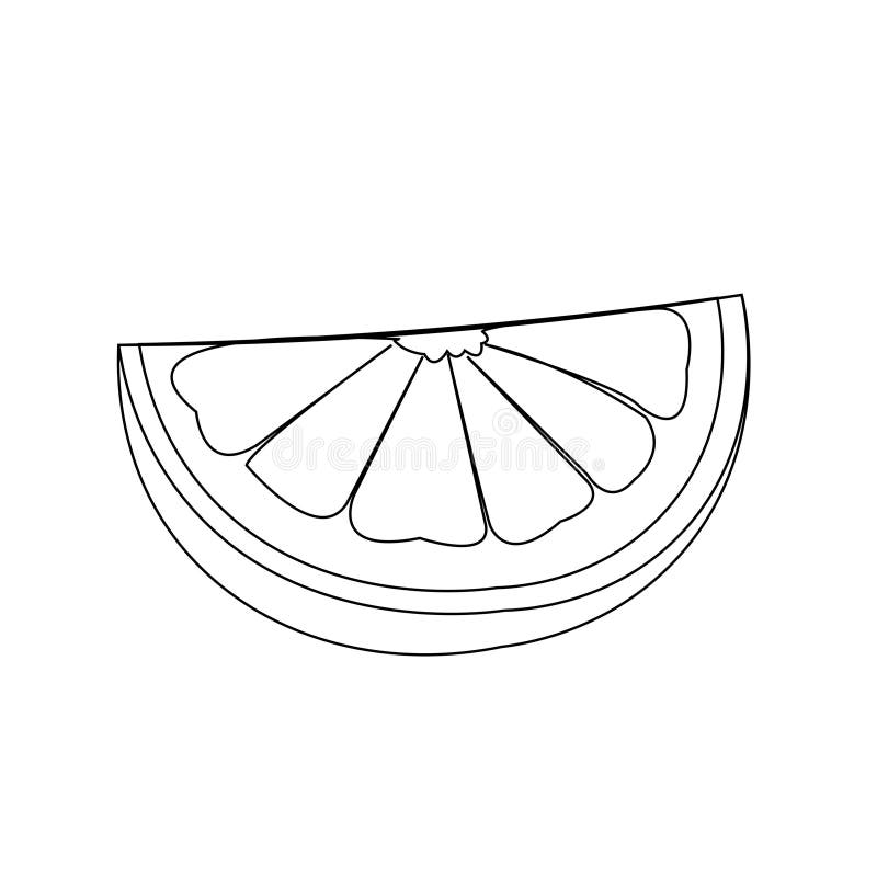 Vector Illustration of a Grapefruit. Lines Art Tropical Fruit Stock ...