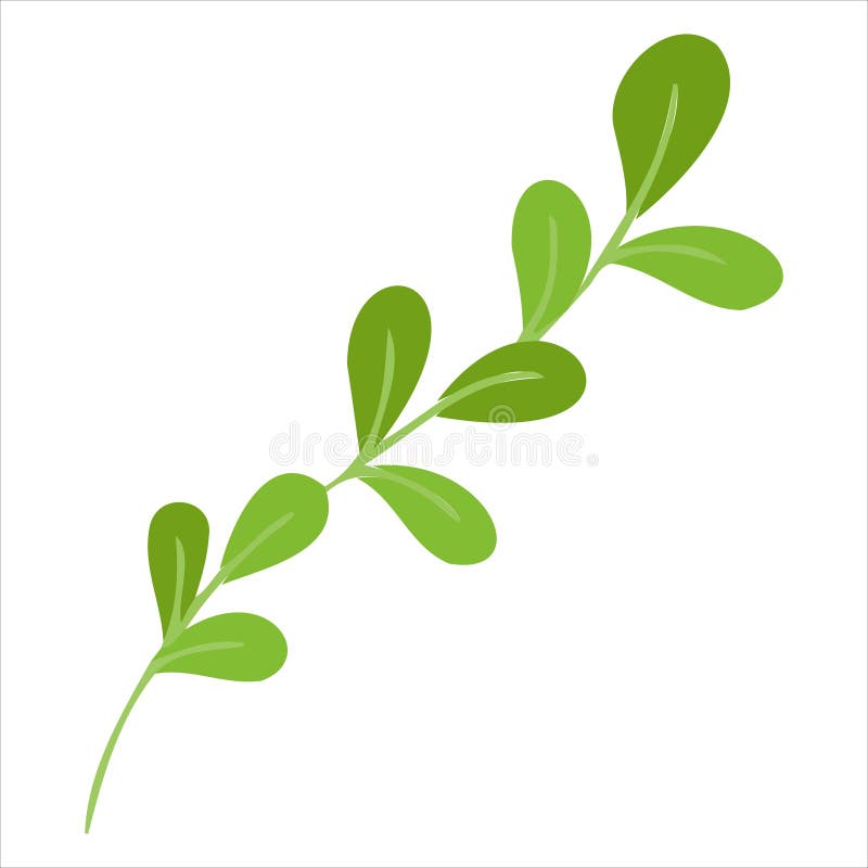 Vector Illustration with a Green Sprig. Vector of Plants in the Doodle ...