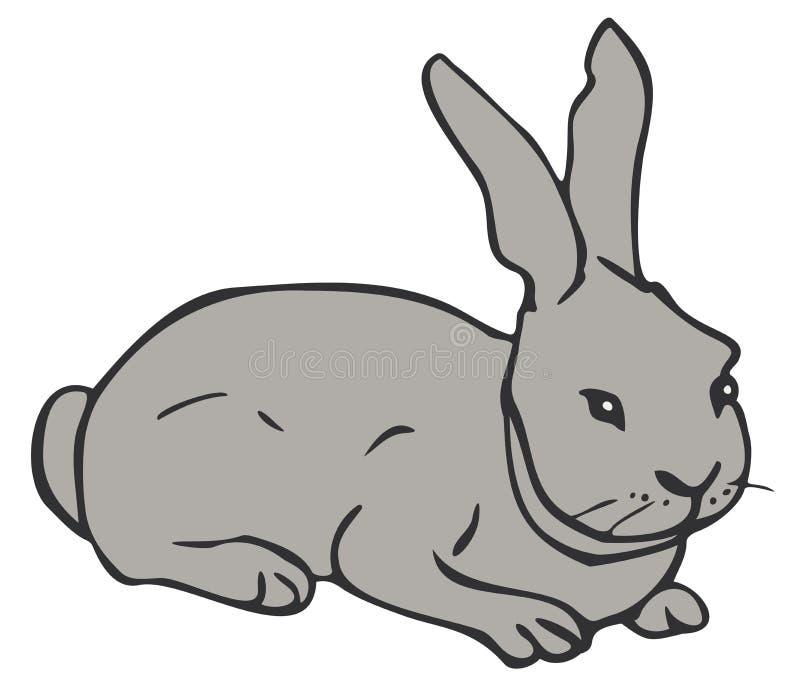 Vector Illustration of Grey Rabbit. Stock Illustration - Illustration ...