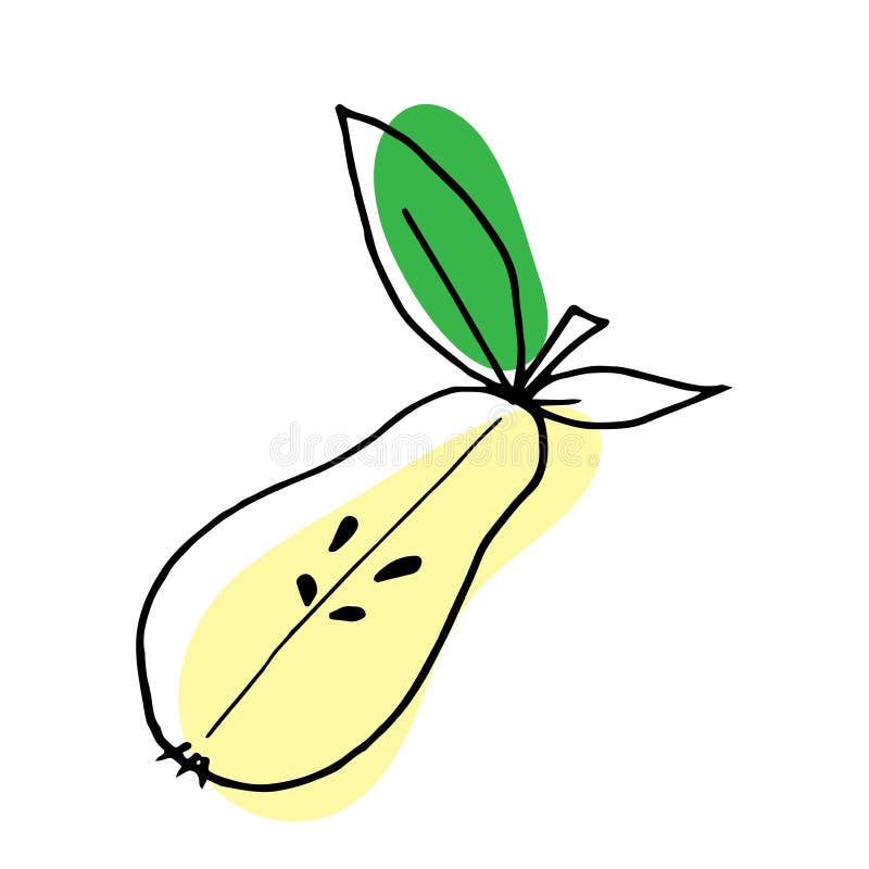 Vector Illustration of Half Pear with Leaves in Doodle Style Stock ...