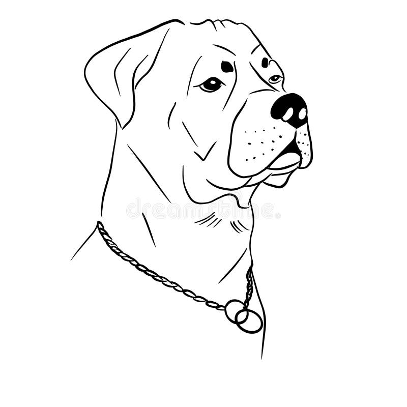 Vector Illustration Hand Drawn Rottweiler ,line Art with Black Lines ...