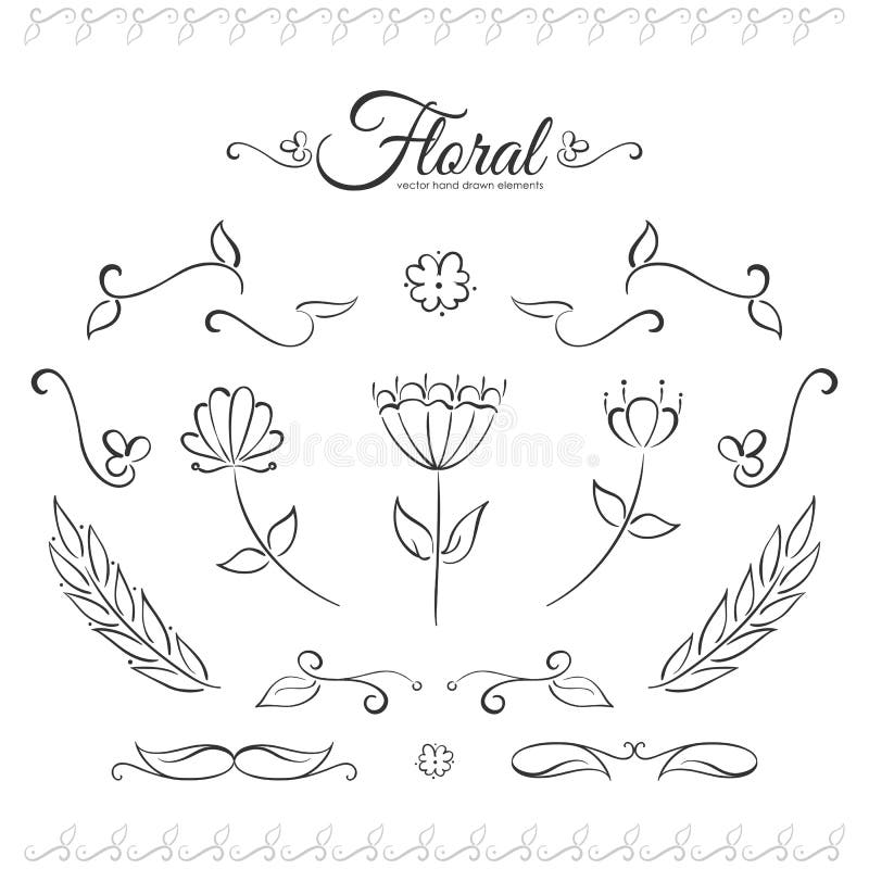 Vector Illustration: Hand Drawn Set of Floral Elements. Sketch Line ...