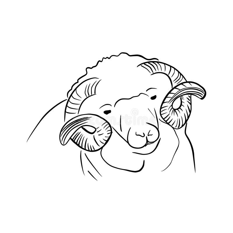 Vector Illustration Hand Drawn Silhouette of a Ram, Line Art Stock ...
