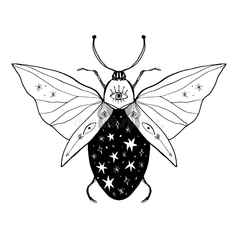 Vector Illustration with Hand Drawn Space Magic Beetle. Sacred Symbol ...