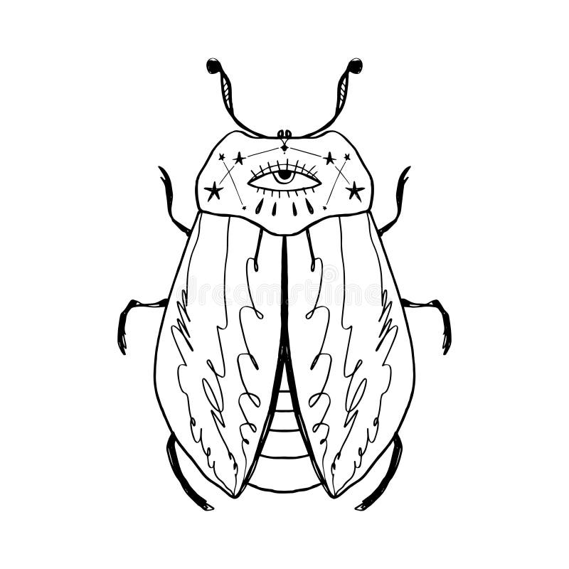 Vector Illustration with Hand Drawn Space Magic Beetle. Sacred Symbol ...