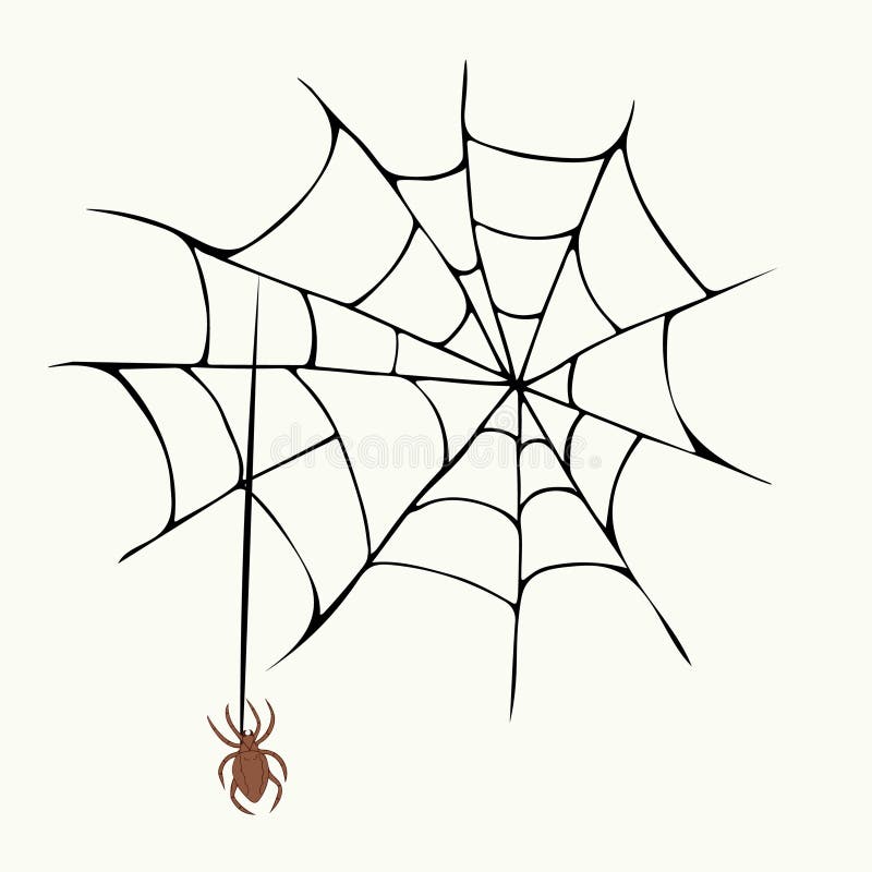 Vector Illustration of a Hand Drawn Spider and a Web. Stock Vector ...
