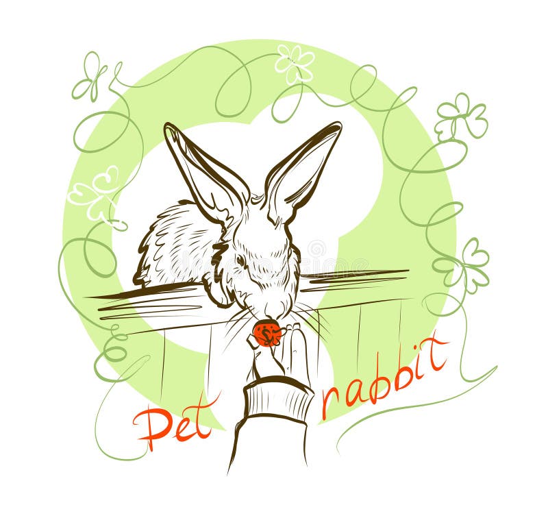 Hand feeding chicken stock vector. Illustration of person - 63699149