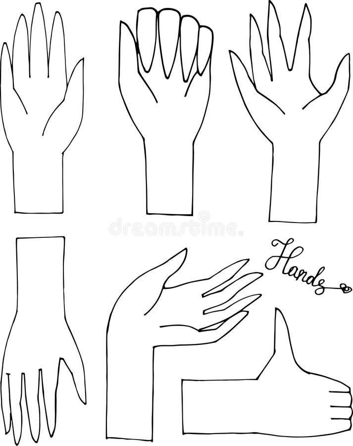 Vector Illustration of a Hand. Palms in Different Angles on a ...