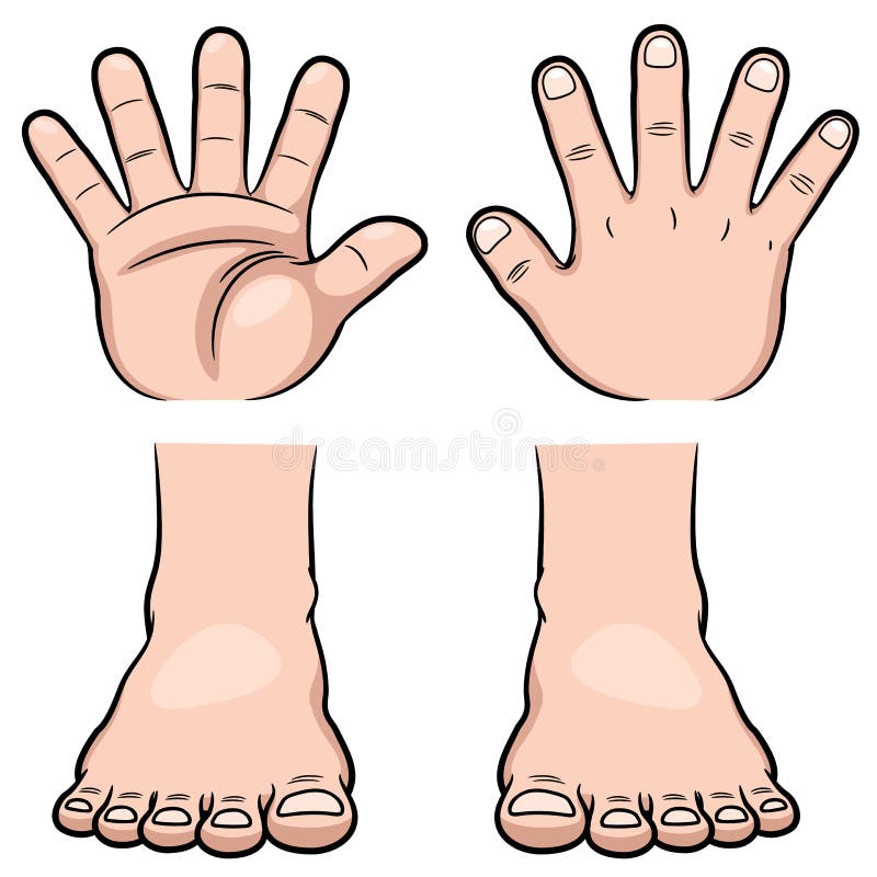 Hands and feet stock vector. Illustration of three, expression - 29888904