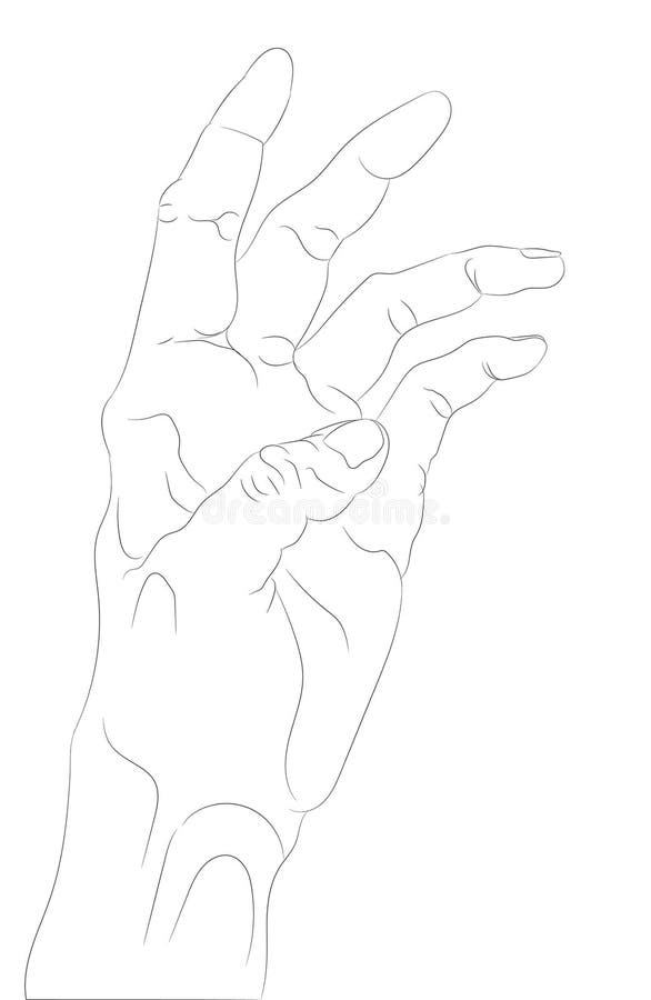 Vector Illustration of Hands, Line Drawing, Vector Stock Vector ...