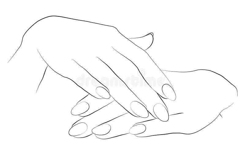 Vector Illustration of Hands in Simple Outline Style Stock Vector ...